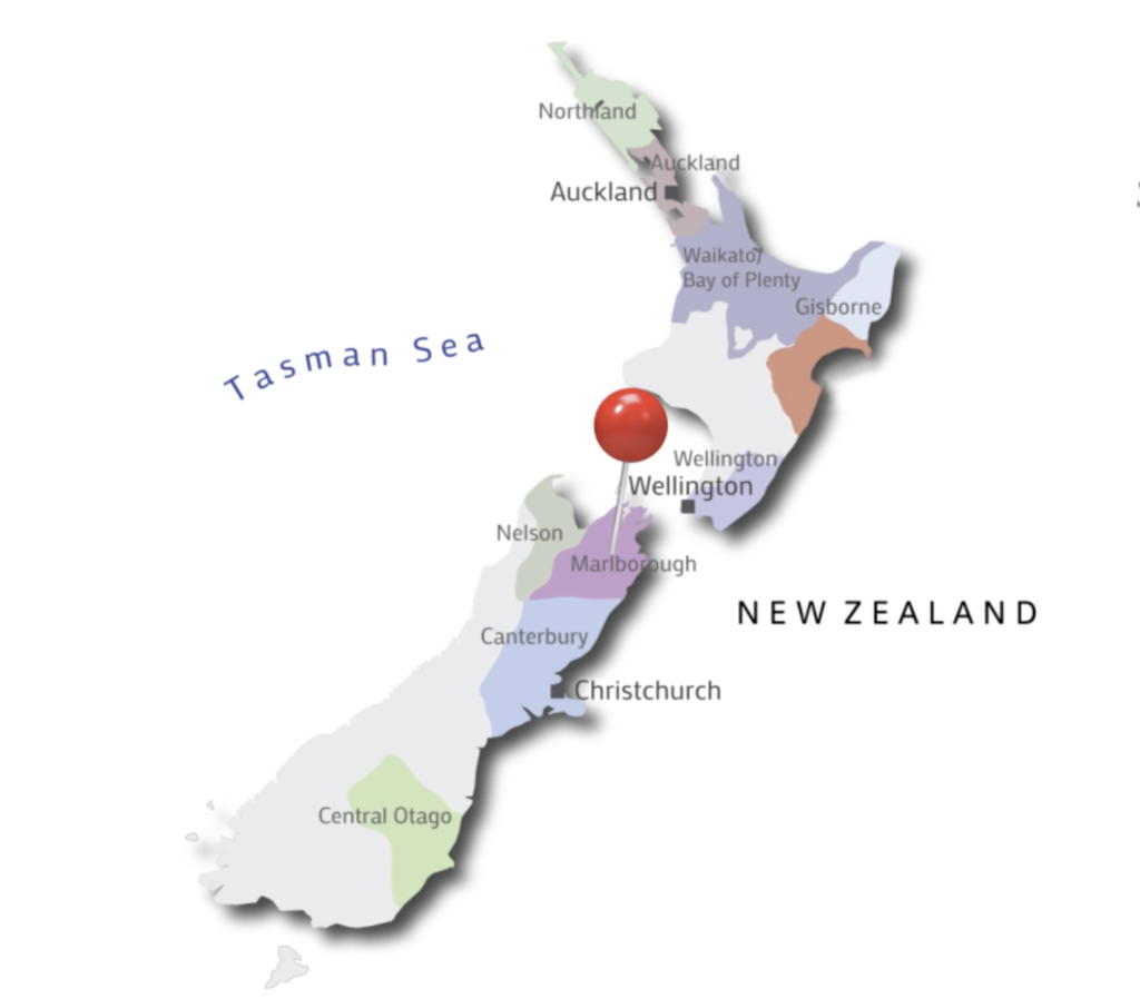 Marlborough - Echo Bay Vineyards